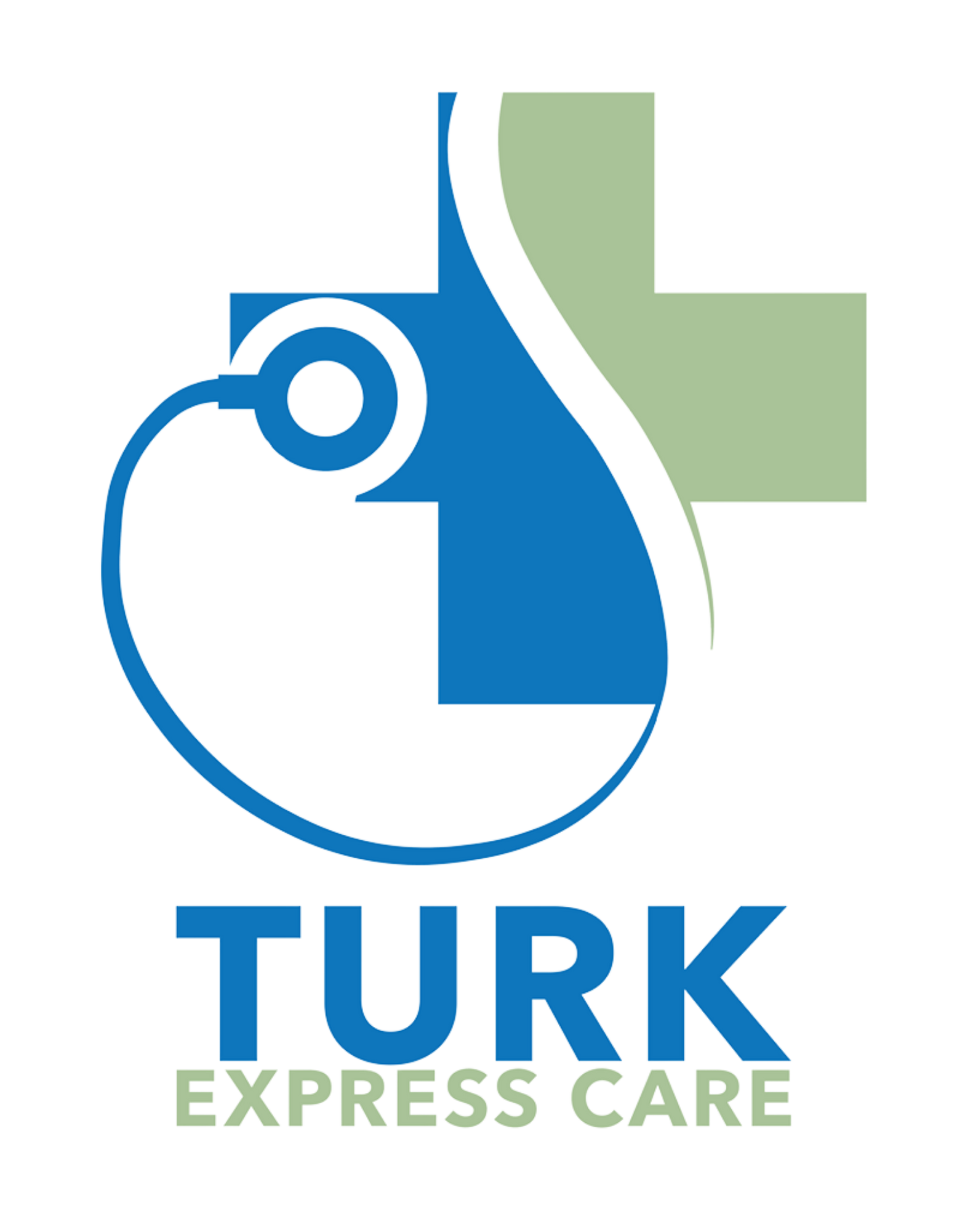 Backgroundless Logo – Turk Express Care